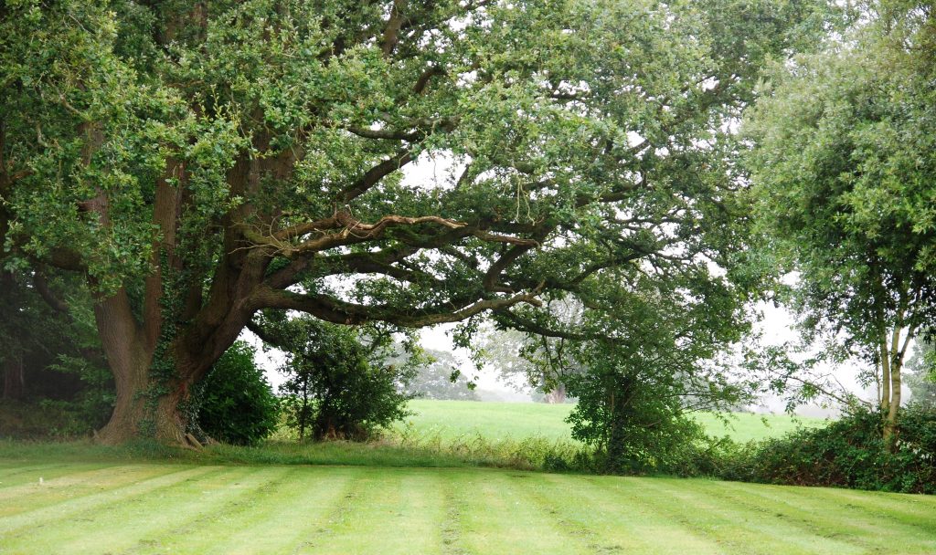 Bryn Edwin Hall Residential EMI Home, Flintshire